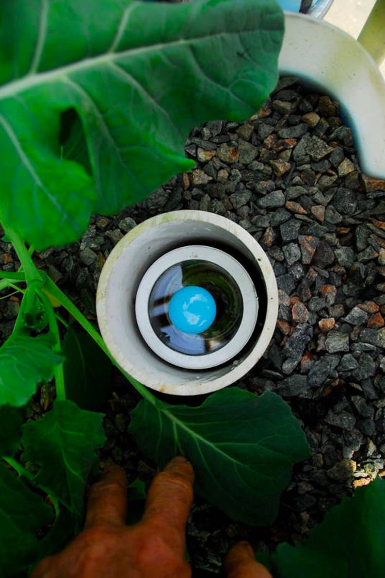 Aquaponics Bell Siphon CLEAR Top IBC 12 MEDIA Easily - Etsy.de