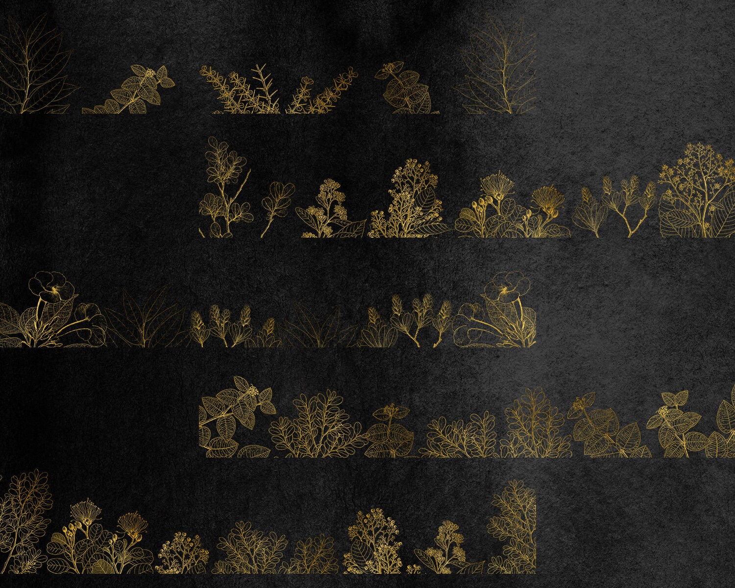 Floral Border Overlays Clipart, Gold Floral Overlays, Silver Floral ...