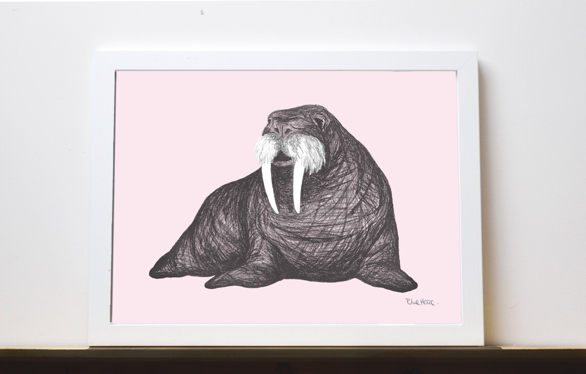 Printable Art Walrus Drawing in Pink | 8 X10, 11x14 Instant Digital ...