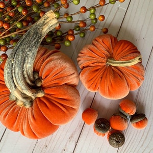 Velvet Pumpkins With Real Stems, Velvet Acorns, Thanksgiving Decor, Farmhouse Decor, Wedding ...