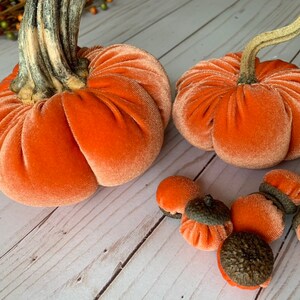 Velvet Pumpkins With Real Stems, Velvet Acorns, Thanksgiving Decor, Farmhouse Decor, Wedding ...
