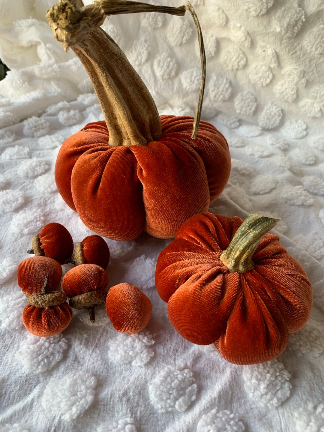 Burnt Orange Velvet Pumpkins & Acorns Set: Real Stems, Thanksgiving Decor - Etsy