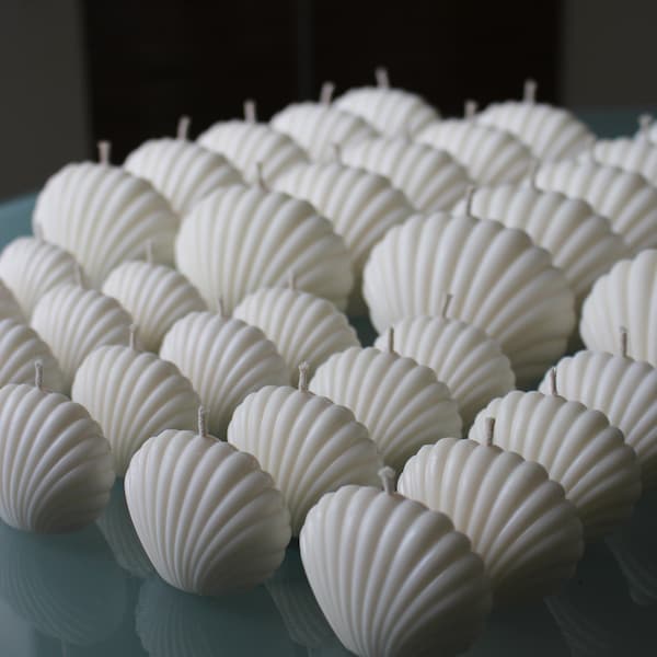 Seashell Candle - Etsy