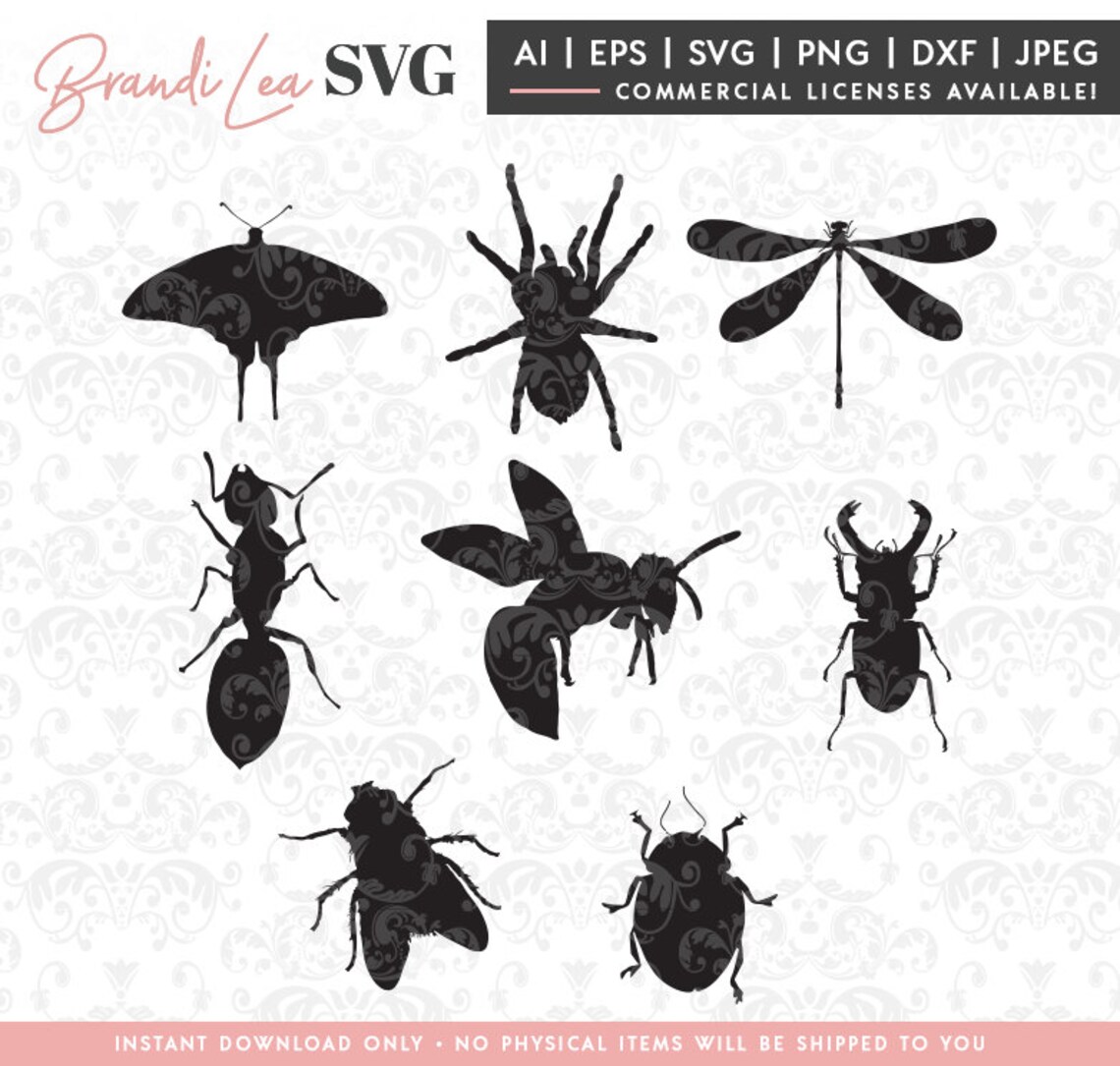Bug SVG Insect SVG Spider Svg Nature Animal Svg Svg Dxf | Etsy