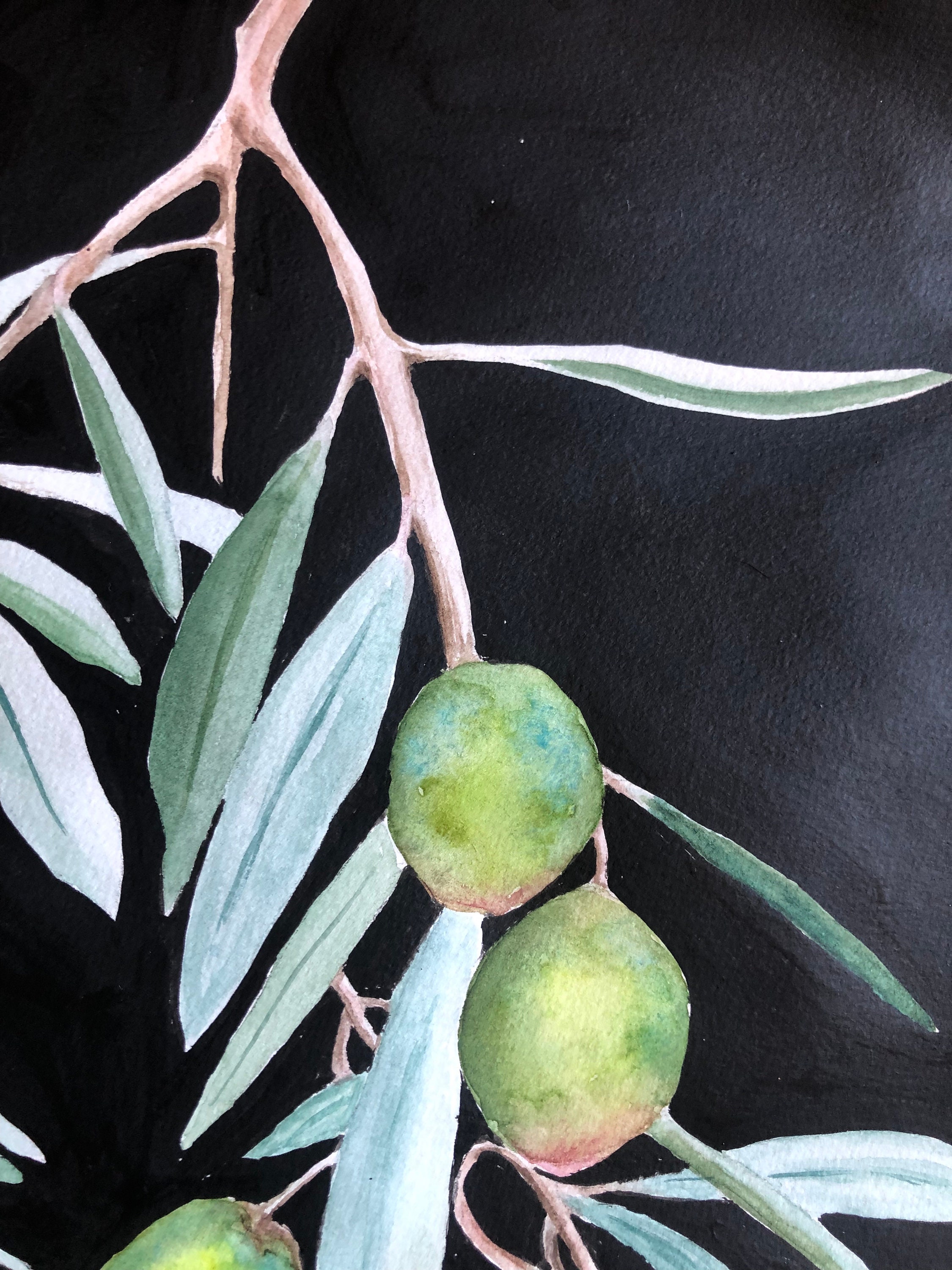 Watercolor Painting Olive Branch 30 Cm X 42 Cm Wall Hanging - Etsy