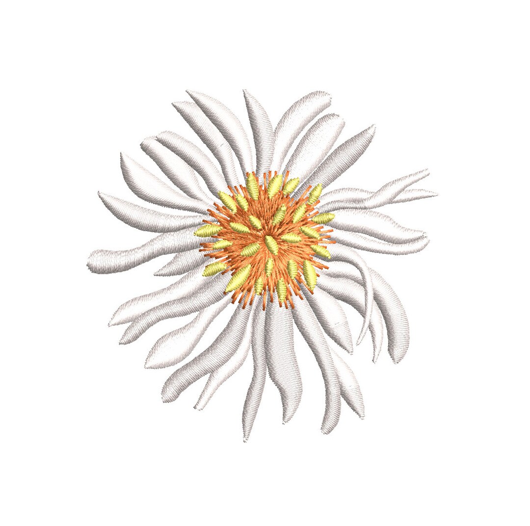 Daisy Flower Machine Embroidery Design / Digital Embroidery Download ...