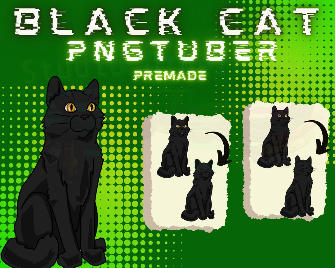 Simple Realistic Black Cat 2D Vtuber Pngtuber Model | Lofi Avatar for ...