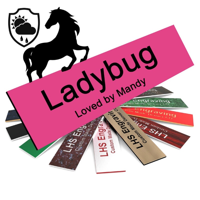 Stall Magnet - Etsy