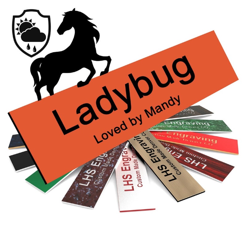 Personalized Horse Stall Sign: Weatherproof Stable Name Plate - Etsy