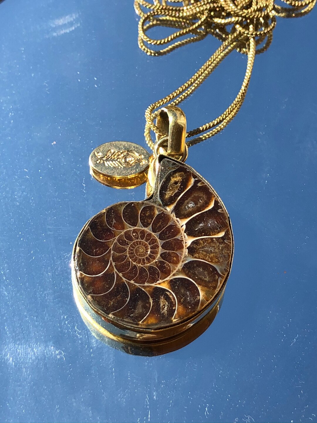 Ammonite Pendant - Big Ammonite - Etsy