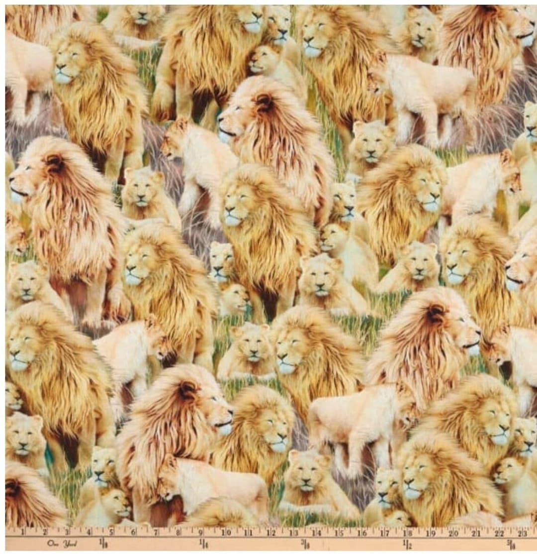 Lions Pride Lions Allover 28913-S Cotton Quilting Fabric 1/2 YARD - Etsy