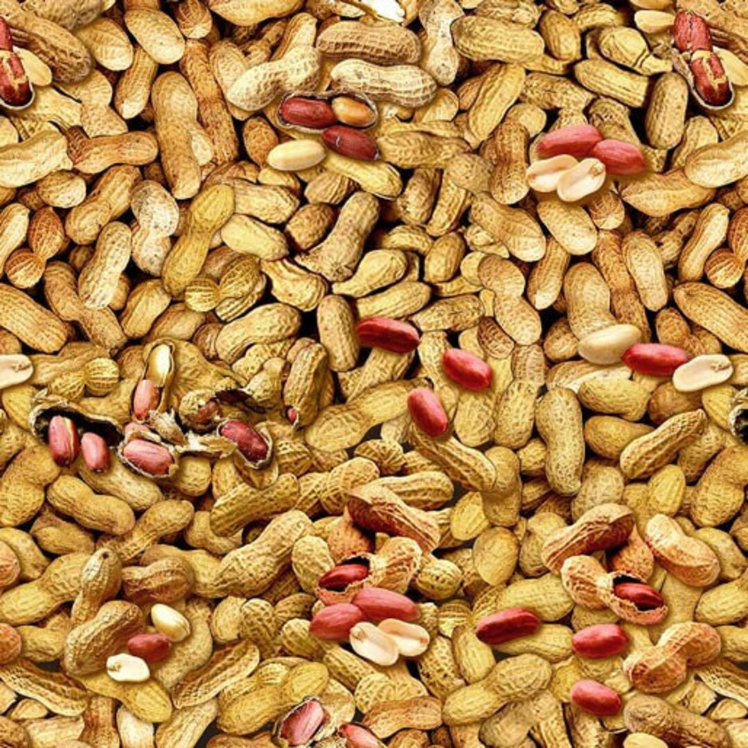 Ale House Beer in Shell Peanuts Natural Cotton Quilting Fabric 1/2 YARD ...