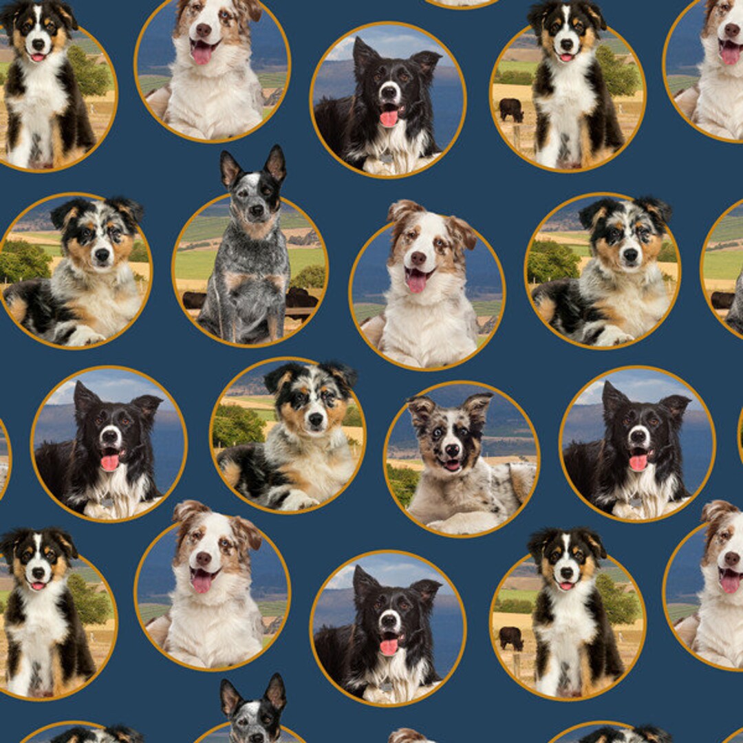 Merino Muster II Working Farm Dogs Badges Blue 3094L Cotton Quilting ...