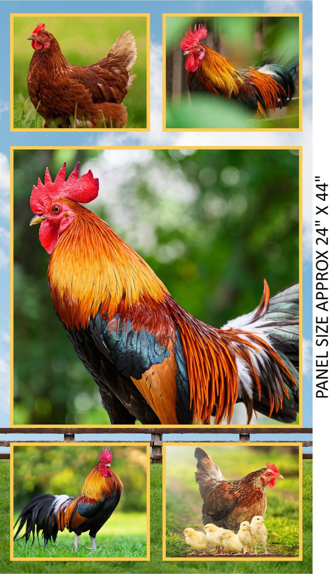 Rule the Roost Roosters Hens and Chickens 2105A Cotton Quilting Fabric ...