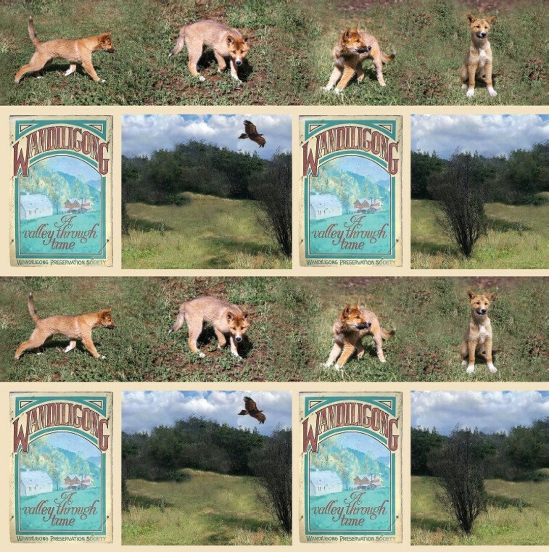 Wandi the Dingo Pup Arrival Stripe Cotton Quilting Fabric 1/2 YARD - Etsy