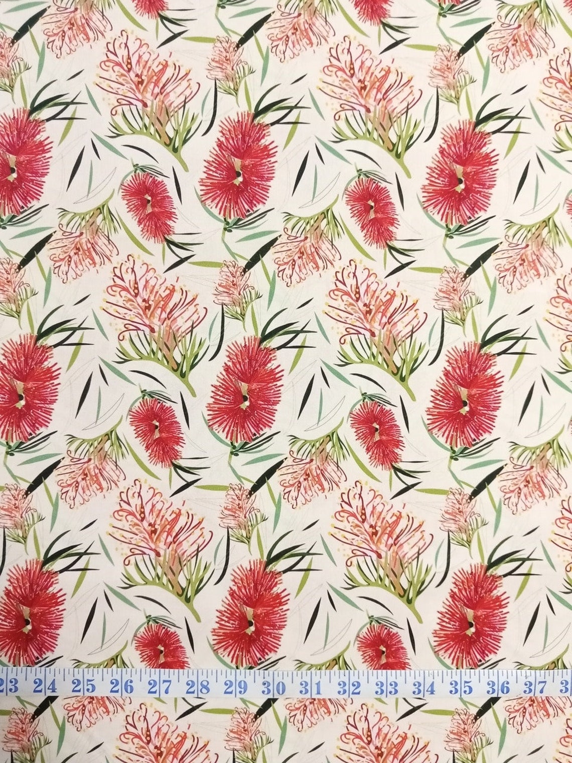 Australian Grevillea and Bottle Brush Cream Background Robyn Hammond ...
