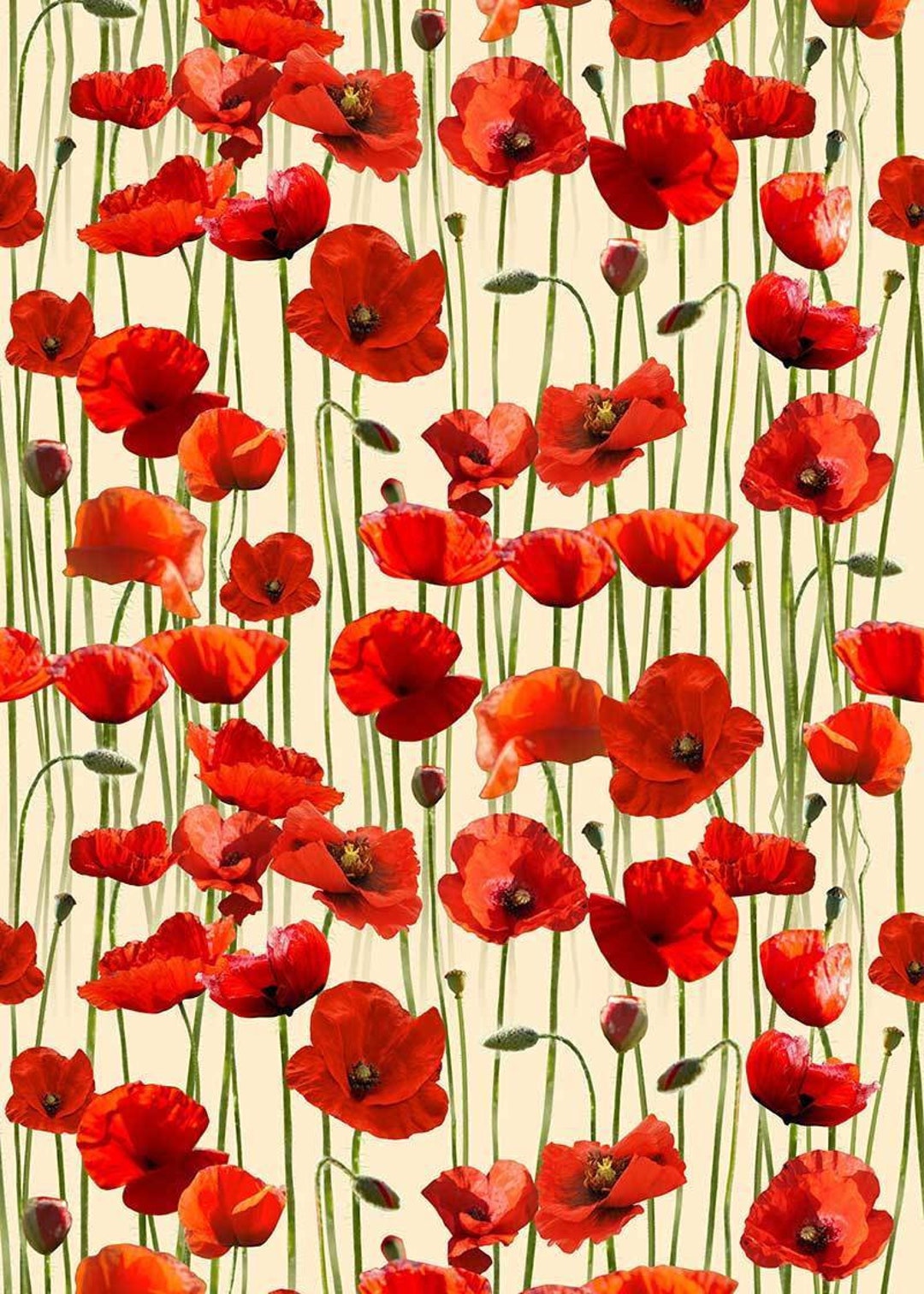 Anzac Day Remembering Day Red Poppies Cream Background Cotton Quilting ...