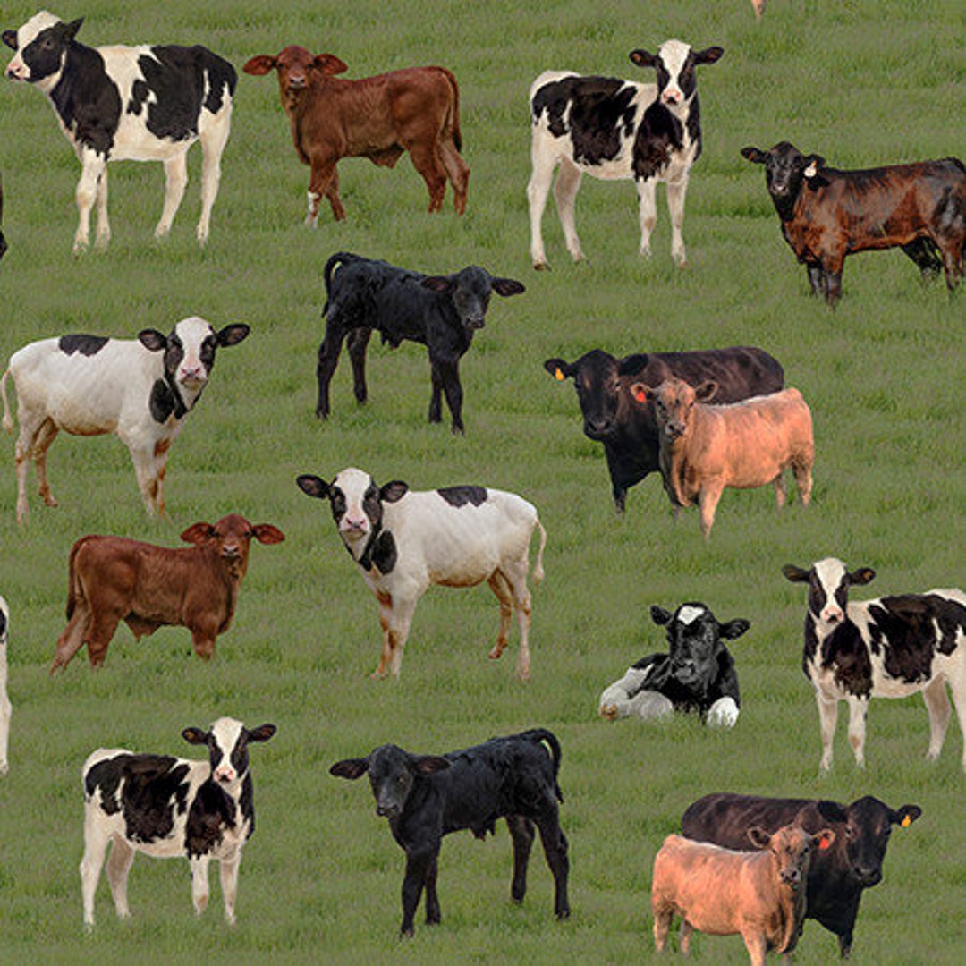 Merino Muster II Cows Calves Grass Background 3094S Cotton Quilting ...