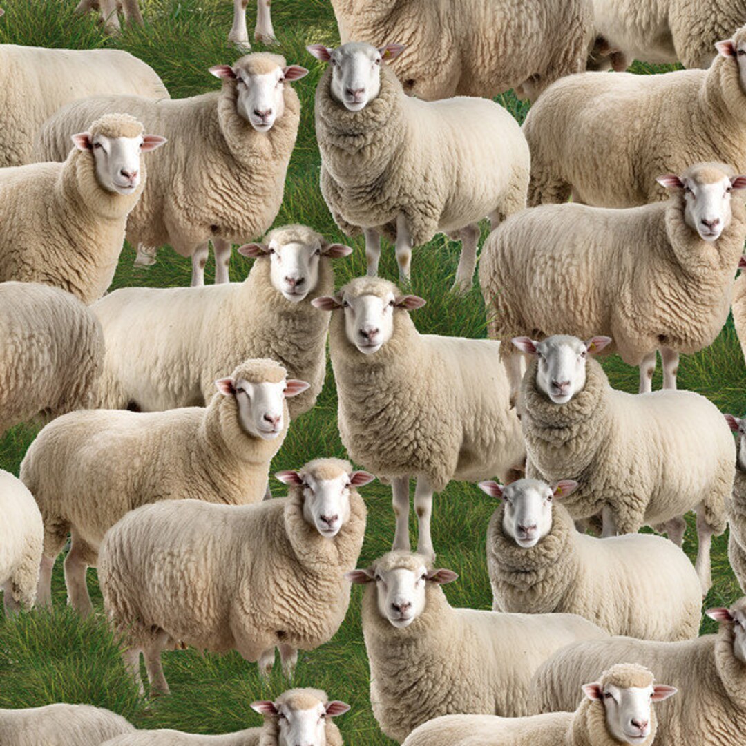 Merino Muster II Sheep Grass Background 3094H Cotton Quilting Fabric 1/ ...