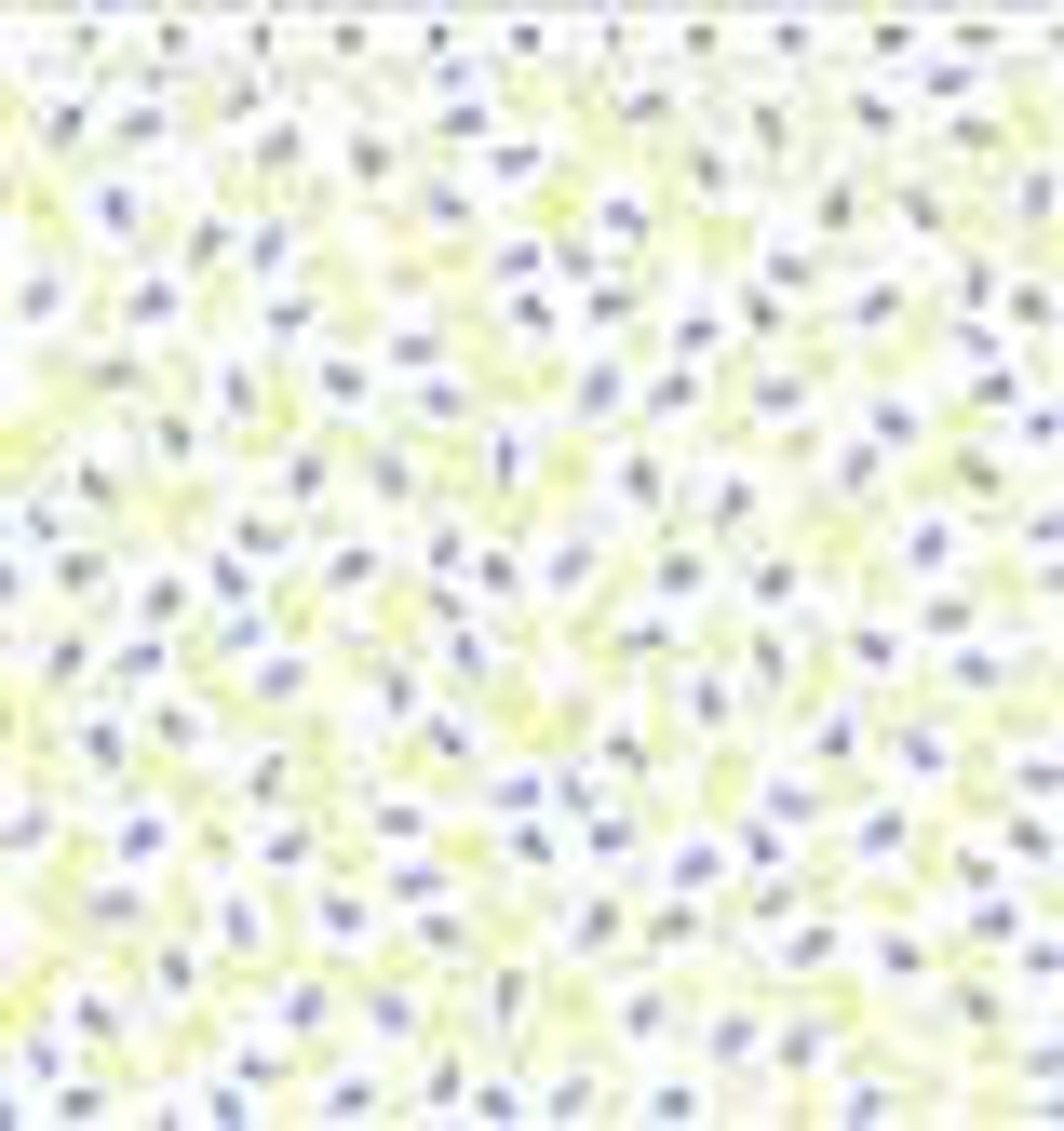 Susybee Birds Buddies Mini Tulips and Bees Lilac Sb20383-620 Cotton ...