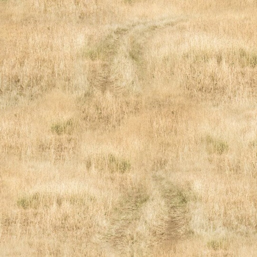 African Safari Savannah Grassland Dry Season 0223Y Cotton Quilting ...