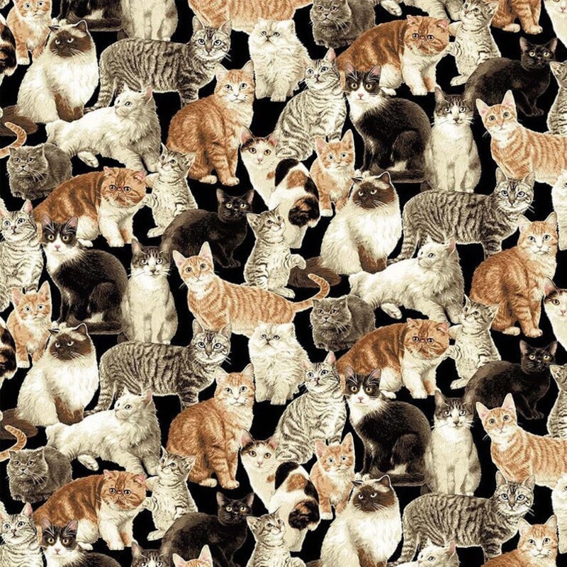 Cat Fabric - Etsy