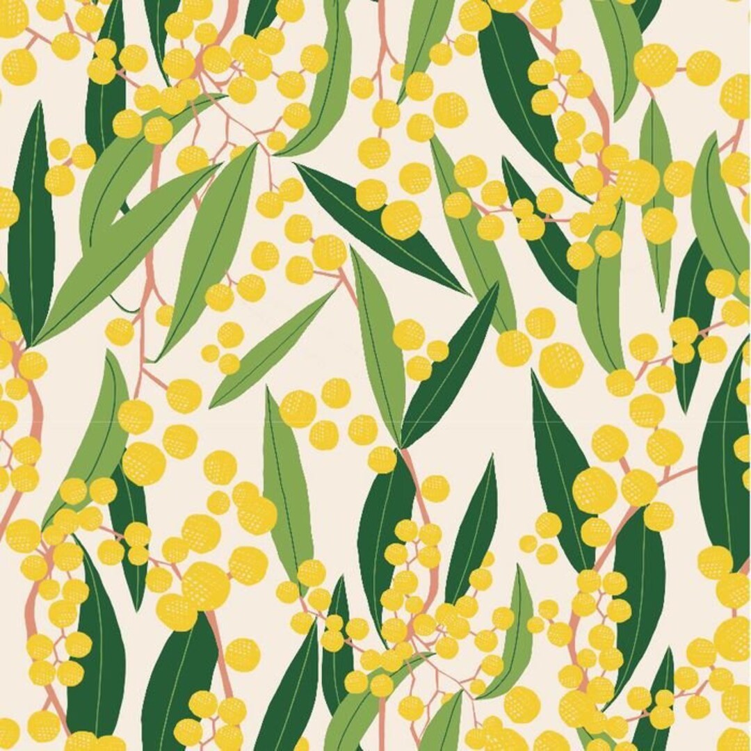 Australian Wattle White Background Robyn Hammond 108 Inch Backing ...