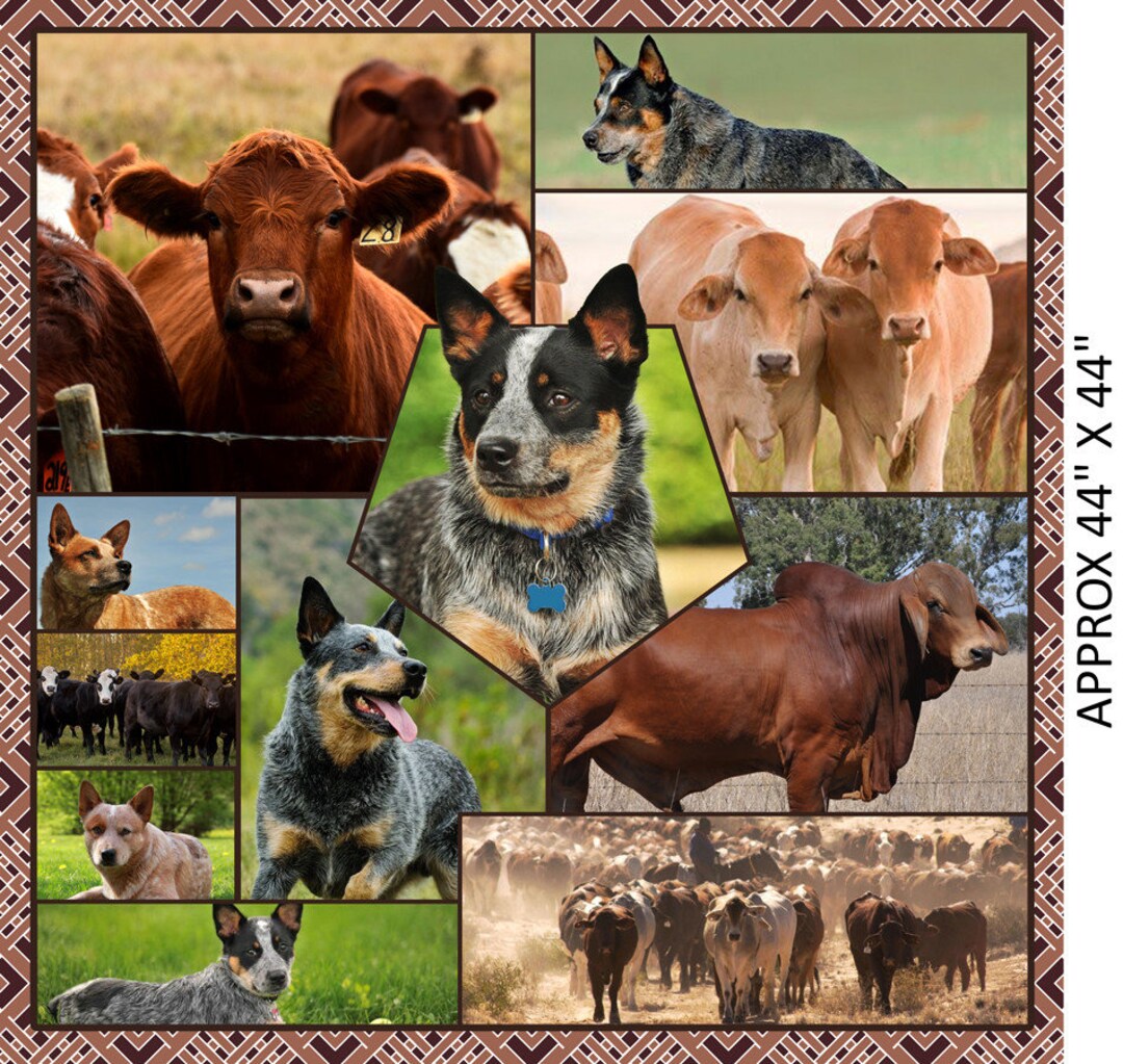 Merino Muster II Farm Dogs and Cows 3094C Cotton Quilting Fabric Panel ...