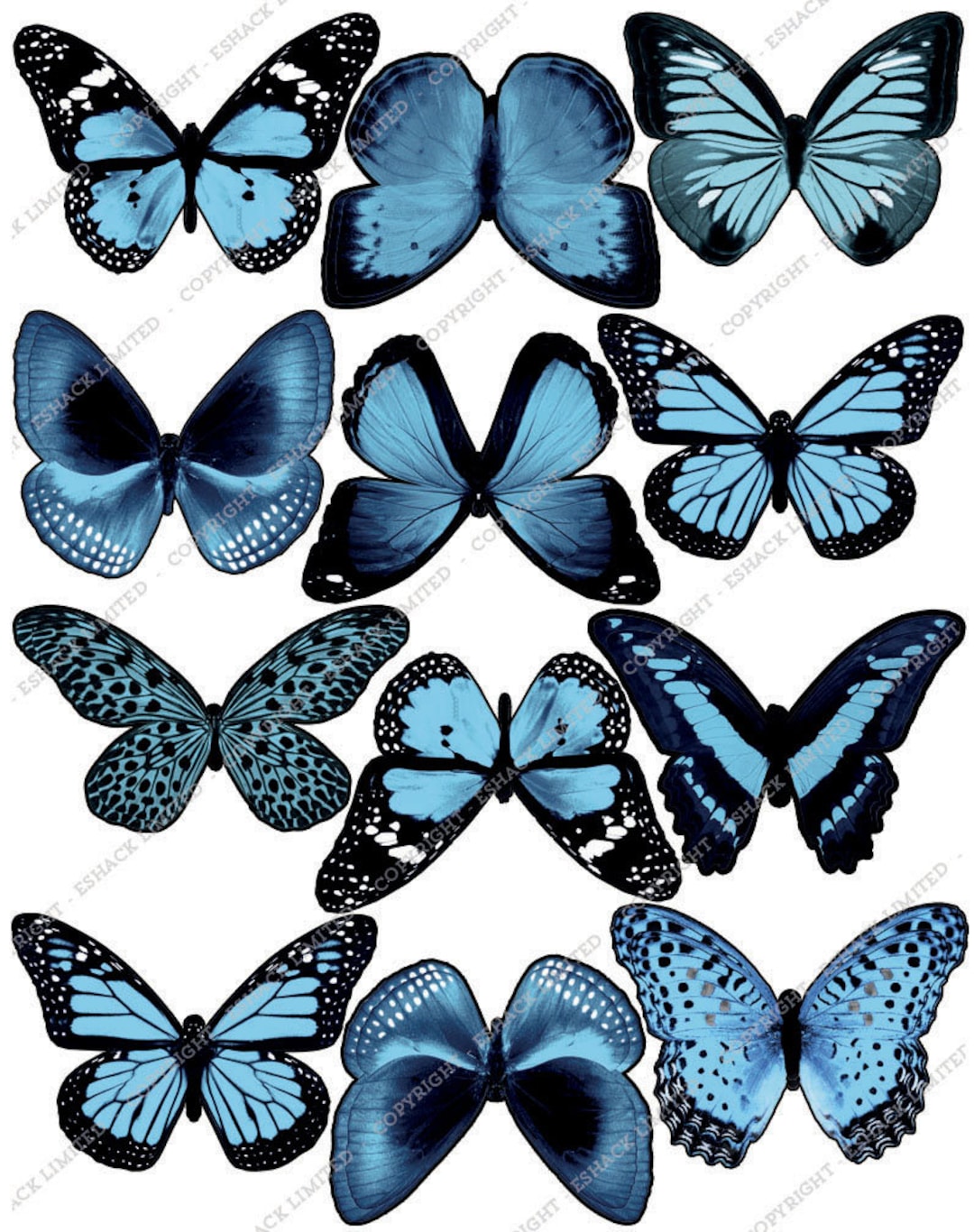 Cakeshop 12 X PRE-CUT Light Blue Butterfly Edible Cake Toppers BT067 - Etsy