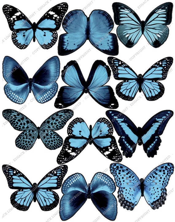 Cakeshop 12 X PRE-CUT Light Blue Butterfly Edible Cake Toppers - Etsy UK
