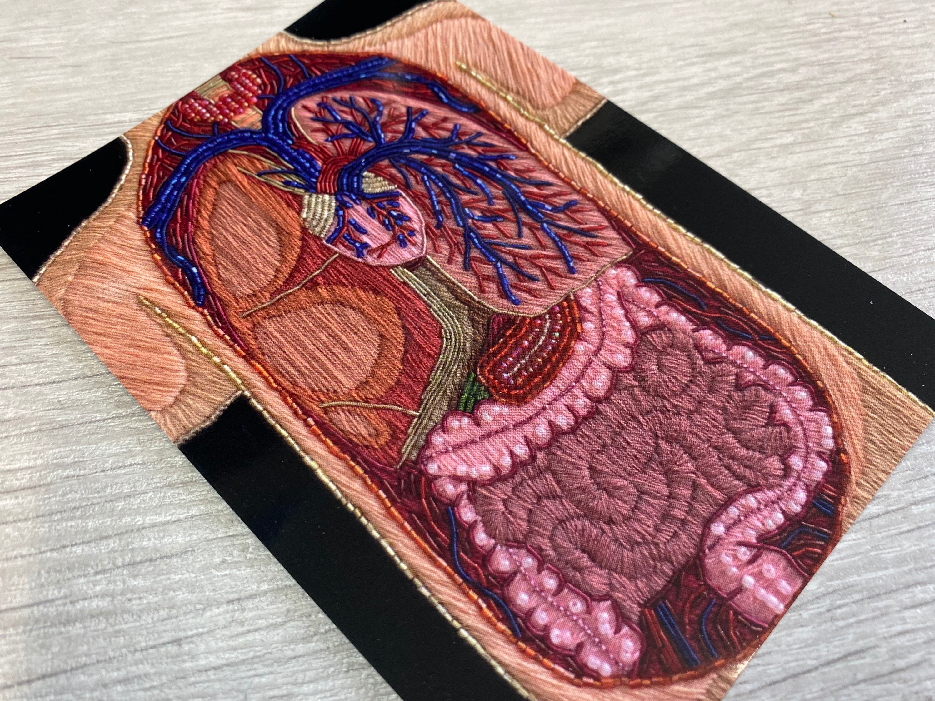 Open Torso Organ Anatomy Embroidery A6 Print - Etsy