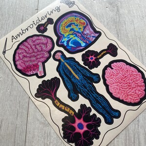 Neurological Anatomical A6 Sticker Sheet. Embroidery, Neuron, Brain ...