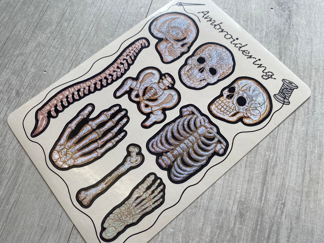 Skeleton Anatomical A6 Sticker Sheet. Embroidery Bones - Etsy
