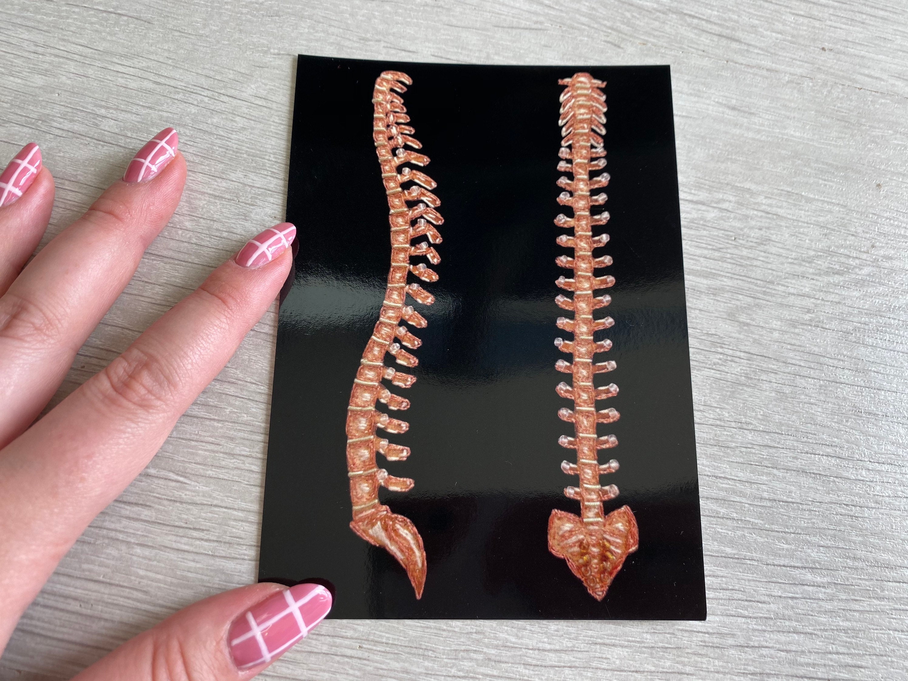 Spine Embroidery A6 Print | Etsy