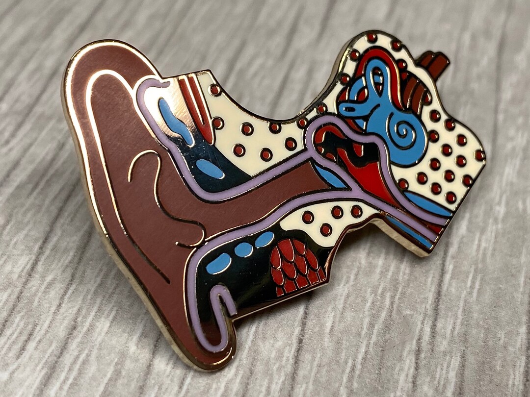 Ear Anatomy 2.7 X 3.5cm Hard Enamel Pin Badge. Cochlea, Ear Canal ...