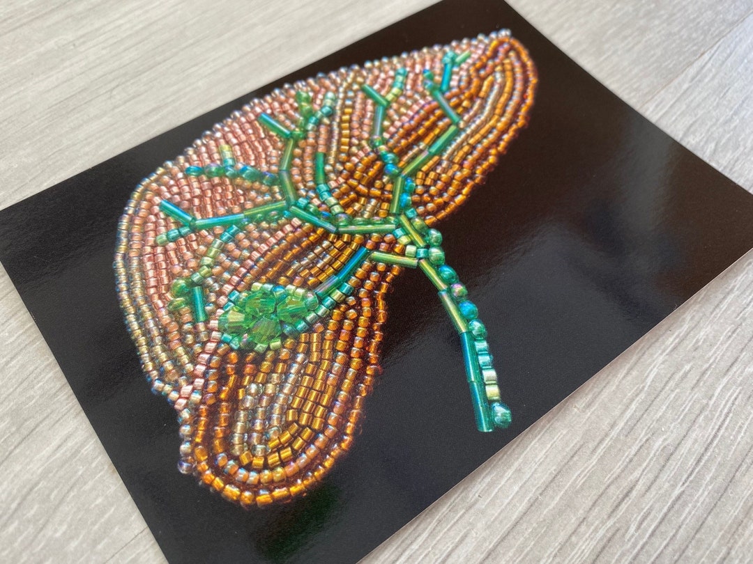Liver Beaded Anatomy Embroidery A6 Print - Etsy