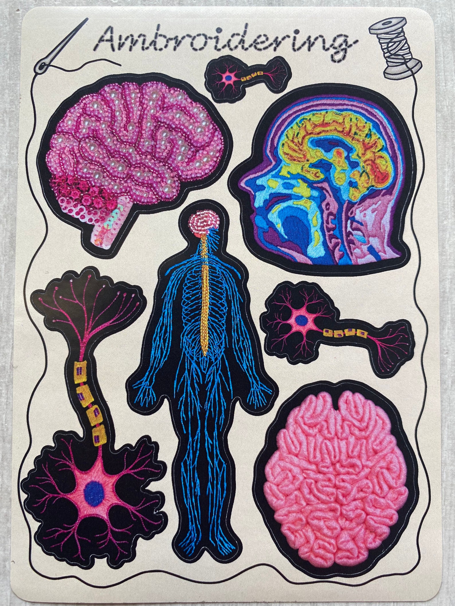 Neurological Anatomical A6 Sticker Sheet. Embroidery Neuron - Etsy UK