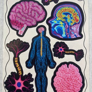 Neurological Anatomical A6 Sticker Sheet. Embroidery, Neuron, Brain ...