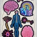 Neurological Anatomical A6 Sticker Sheet. Embroidery, Neuron, Brain ...