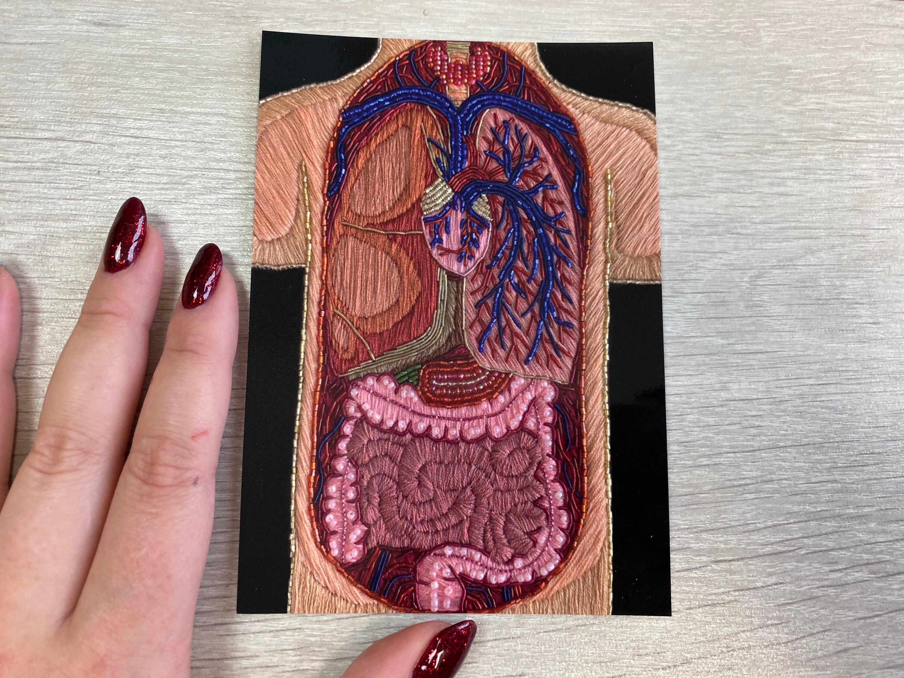 Open Torso Organ Anatomy Embroidery A6 Print - Etsy
