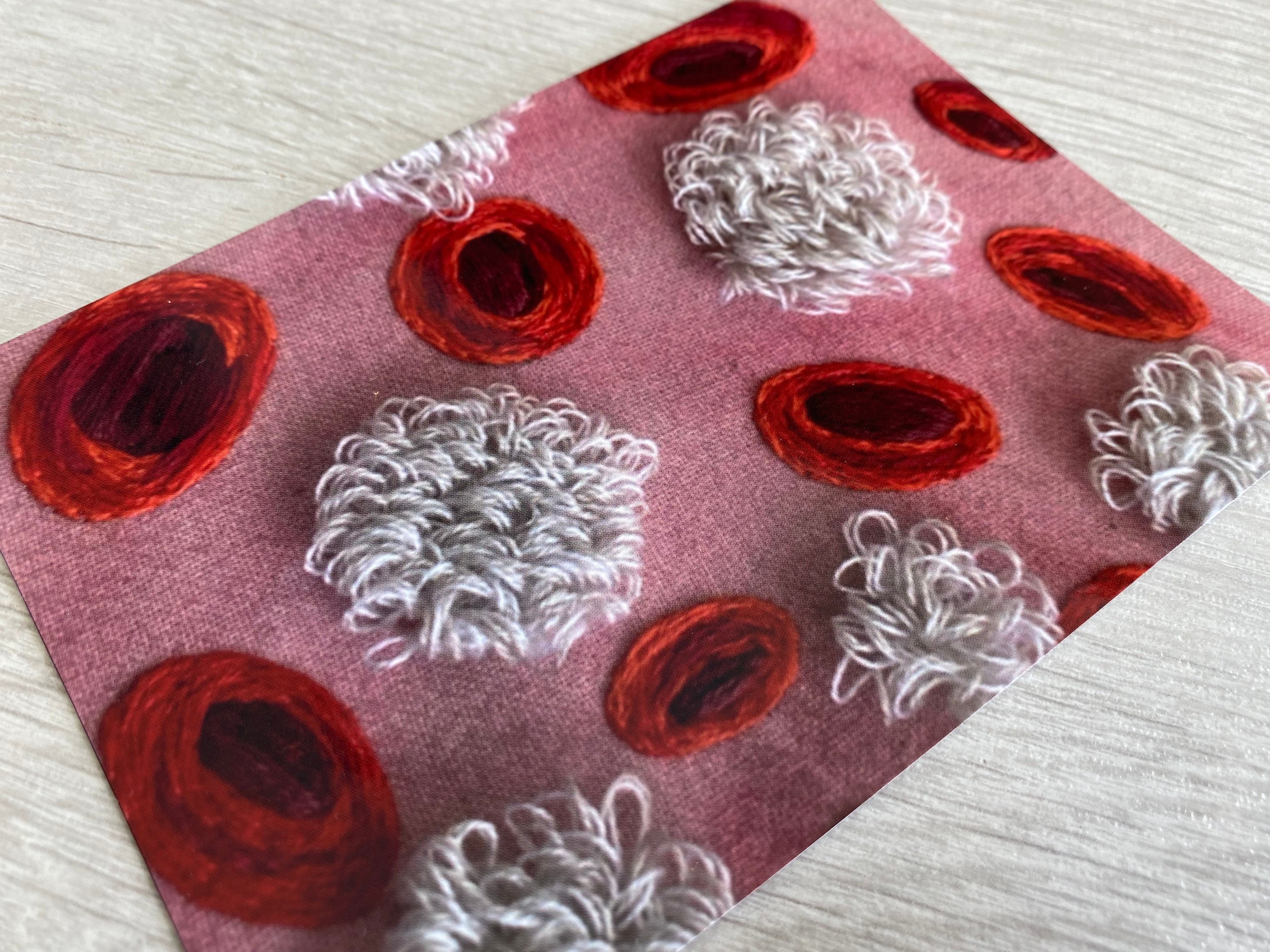 Blood Cells Embroidery A6 Print - Etsy UK