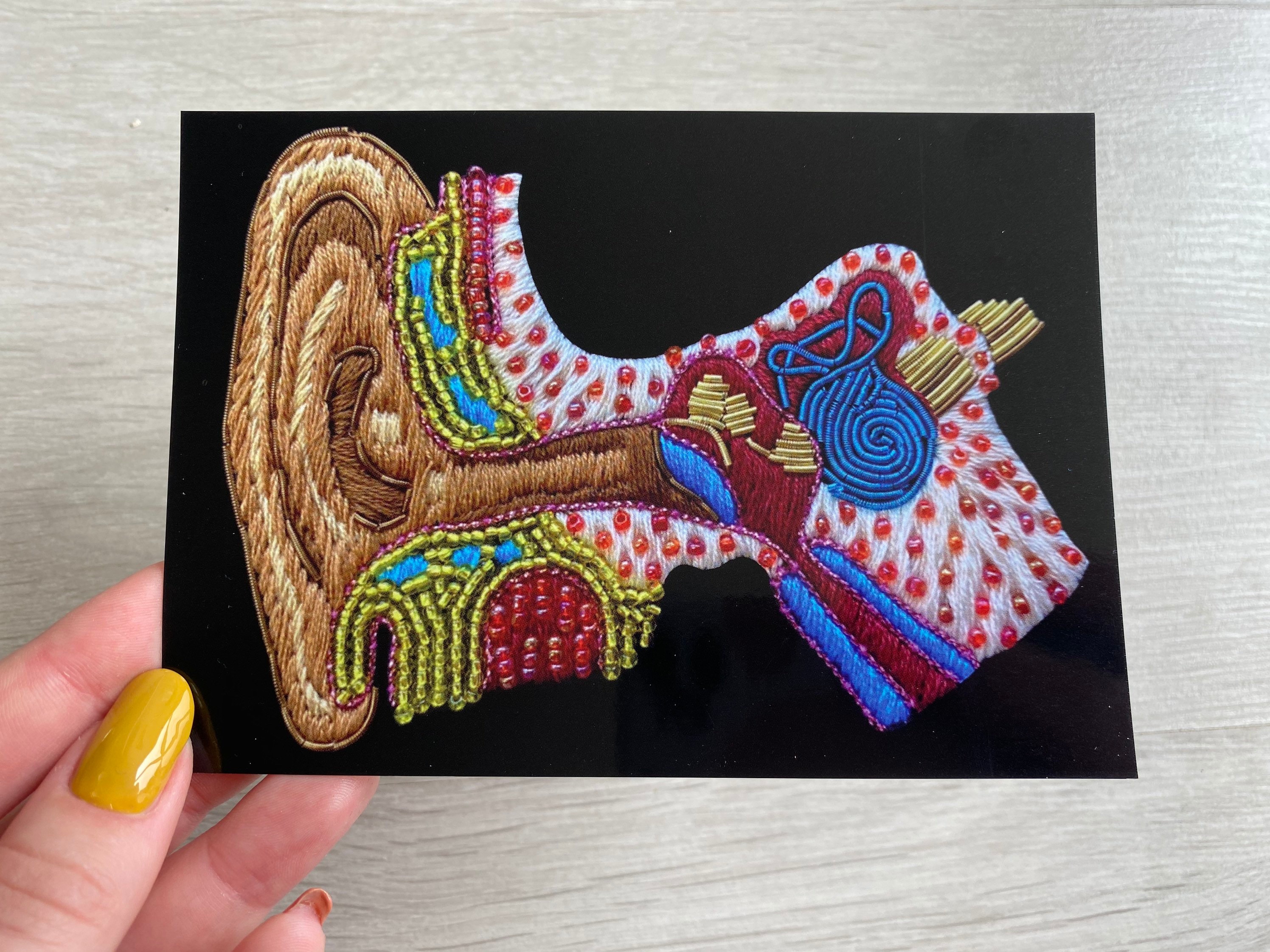 Ear Anatomy Embroidery A6 Print | Etsy