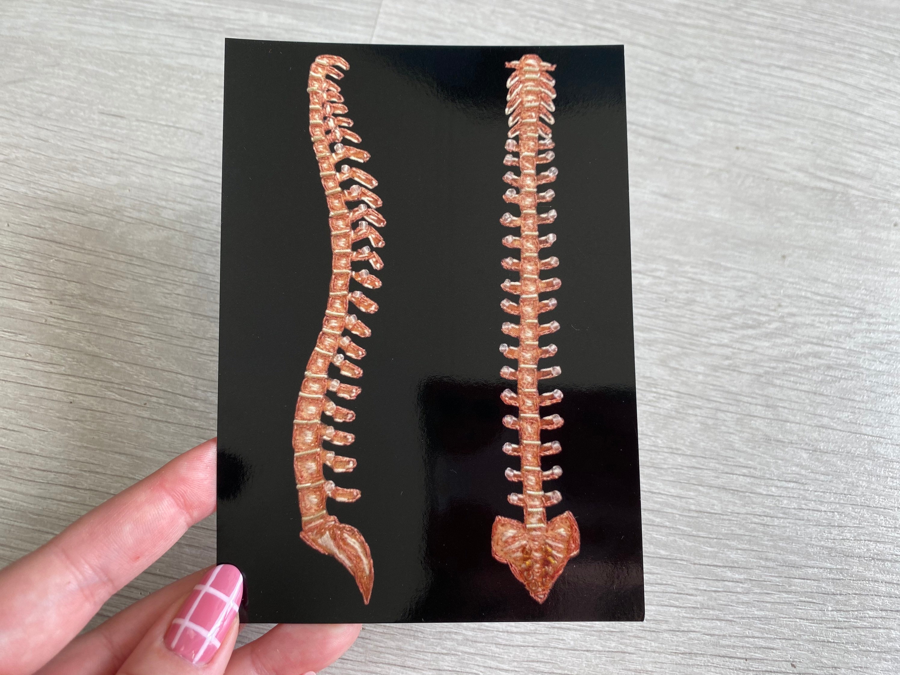 Spine Embroidery A6 Print | Etsy