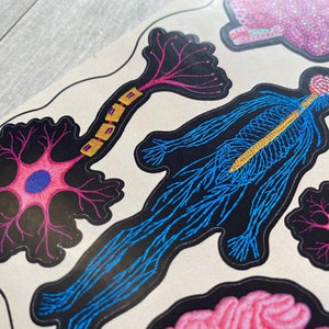 Neurological Anatomical A6 Sticker Sheet. Embroidery, Neuron, Brain ...