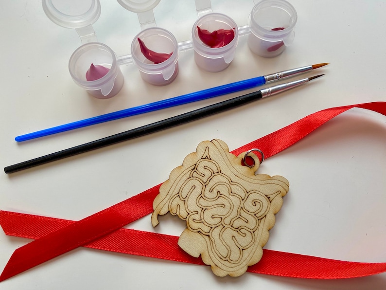 Intestines Anatomy DIY Paint Your Own, Wooden Christmas Decoration ...