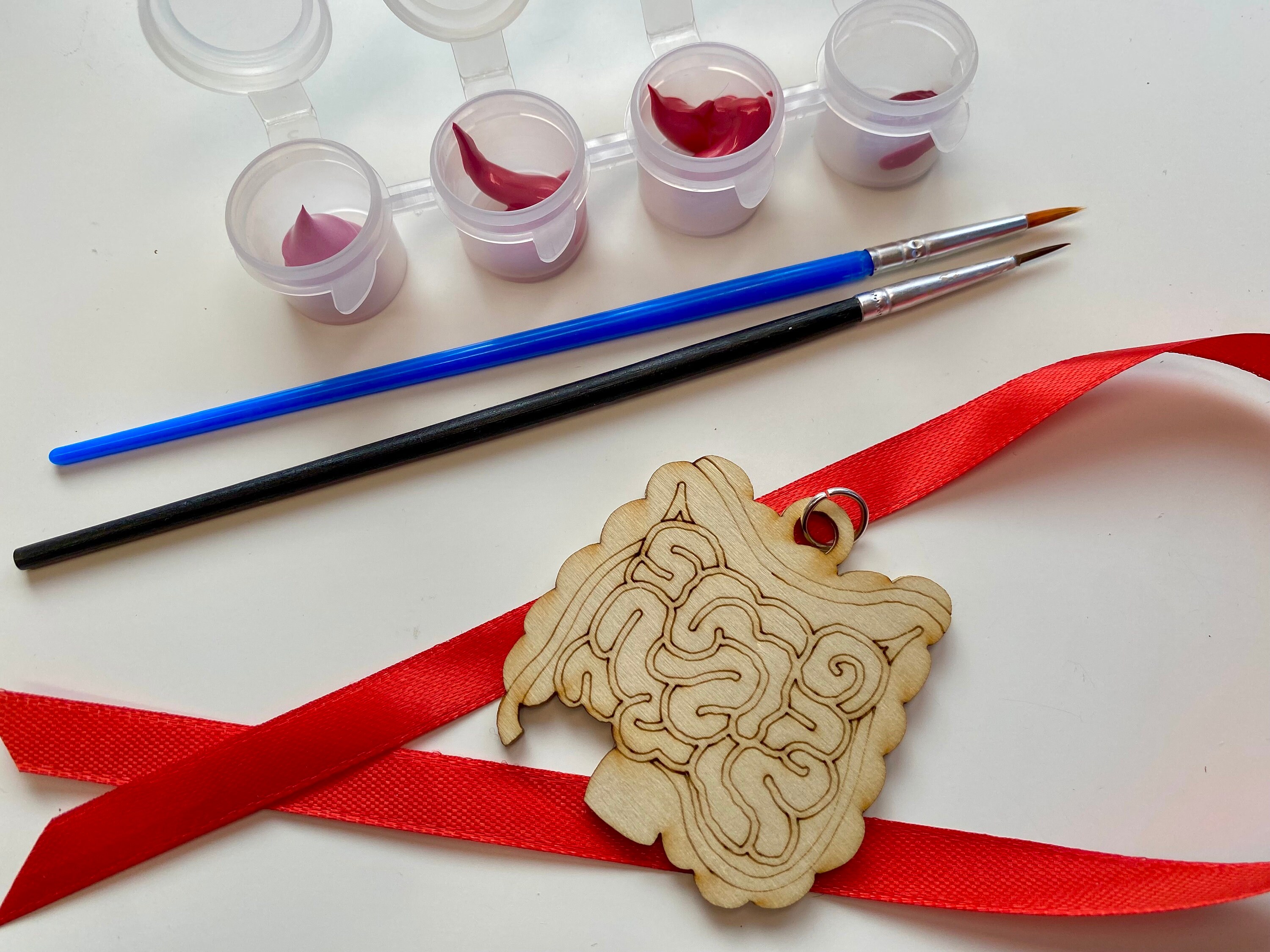 Intestines Anatomy DIY Paint Your Own, Wooden Christmas Decoration ...