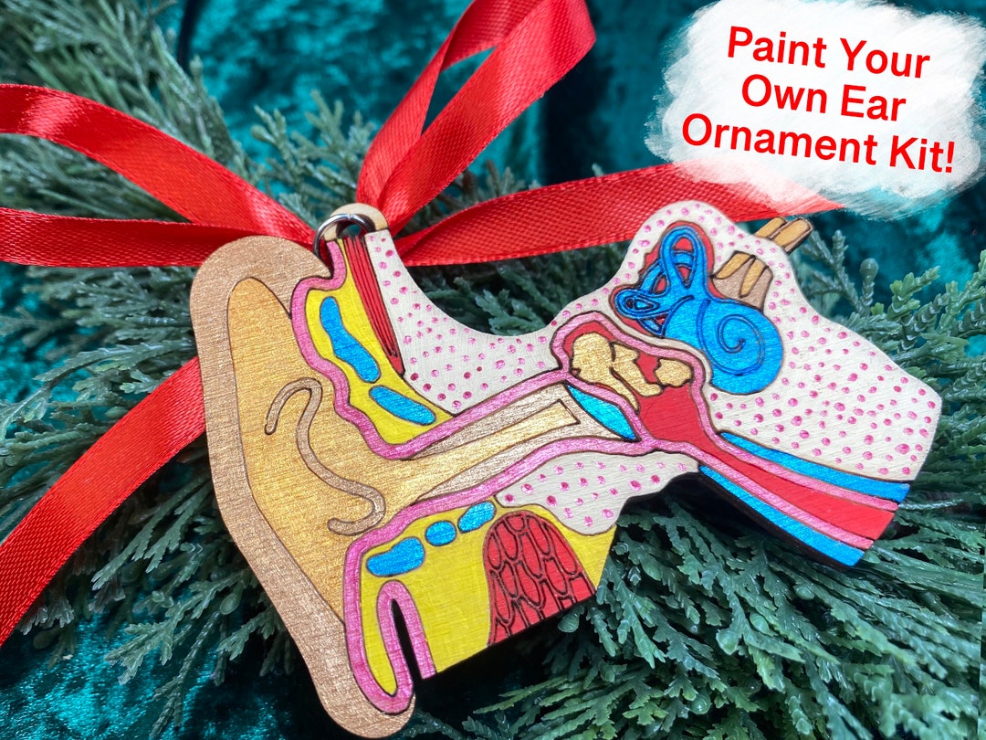 Ear Anatomy DIY Paint Your Own, Wooden Christmas Decoration Ornament ...
