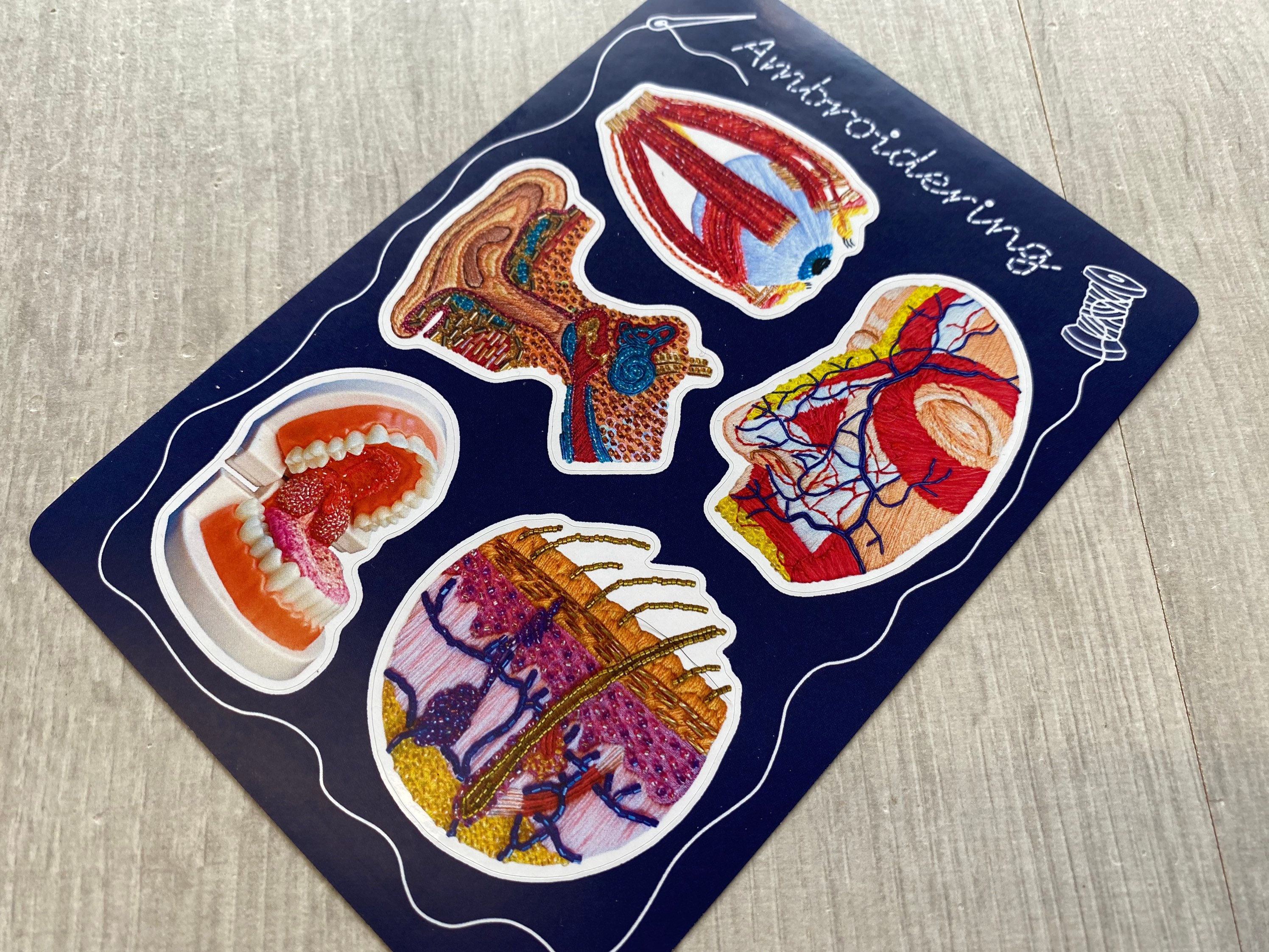 Sensory Anatomical A6 Sticker Sheet. Embroidery Eye Optical - Etsy