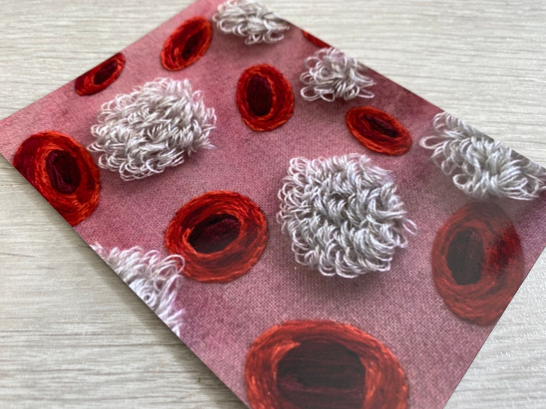 Blood Cells Embroidery A6 Print - Etsy UK
