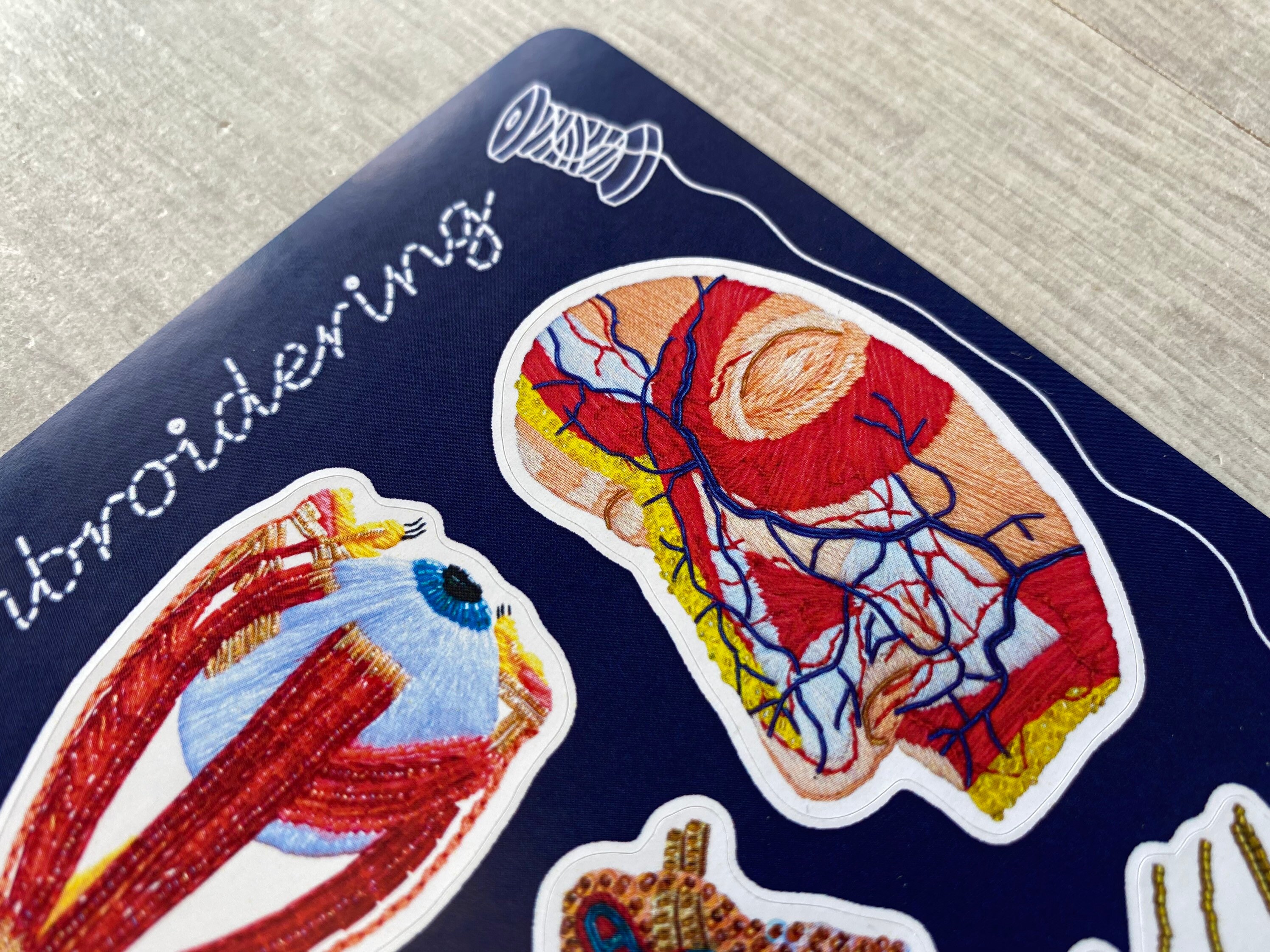 Sensory Anatomical A6 Sticker Sheet. Embroidery Eye Optical - Etsy